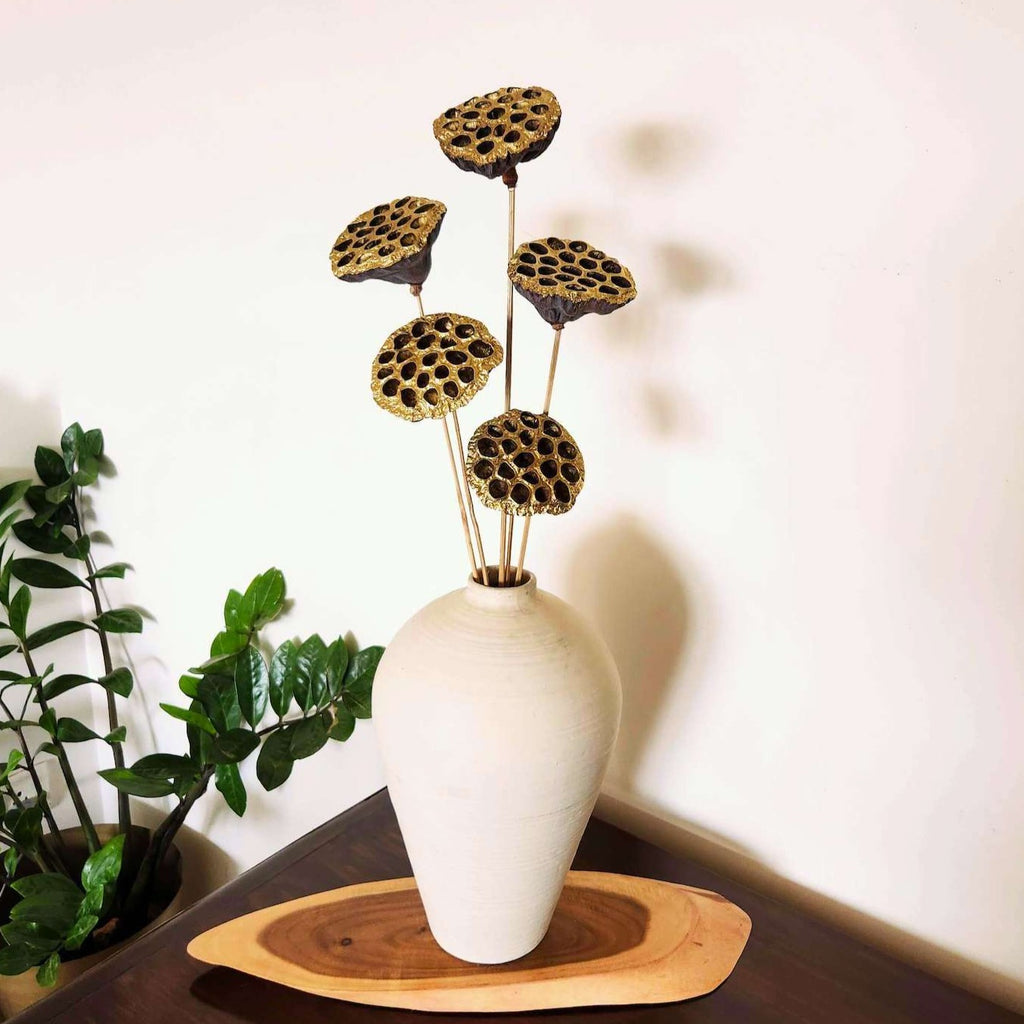 Dried Lotus Flower Pods - Big