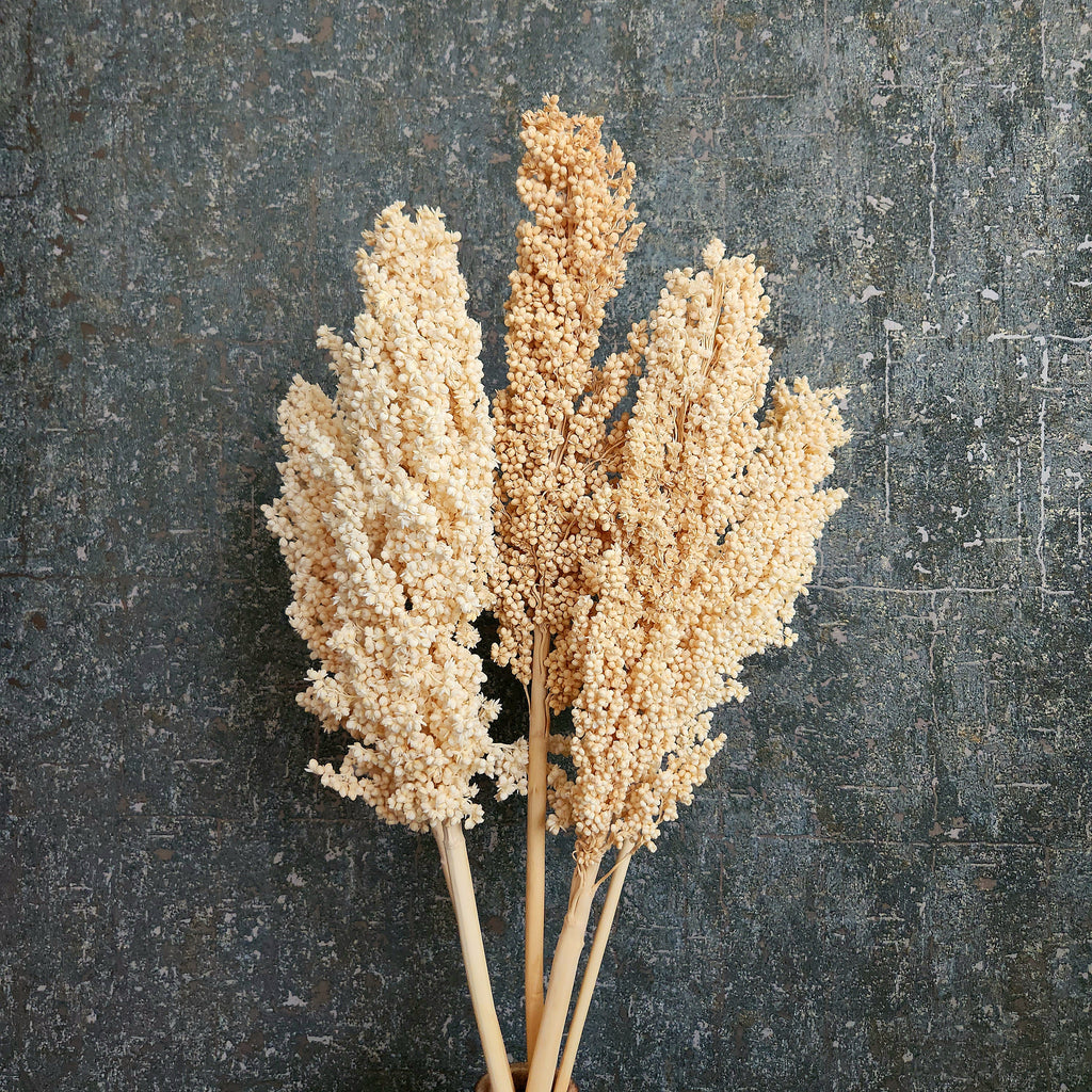 Corn Pod Stems - Set of 5