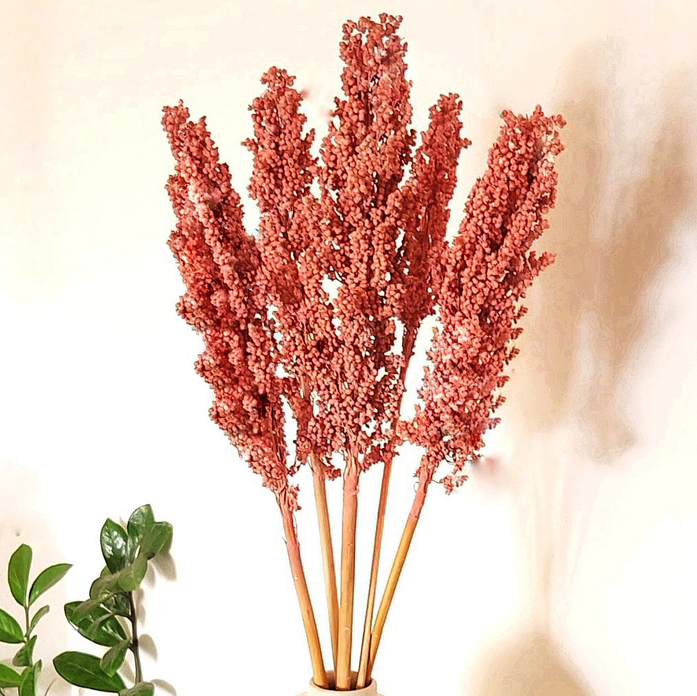 Corn Pod Stems - Set of 5